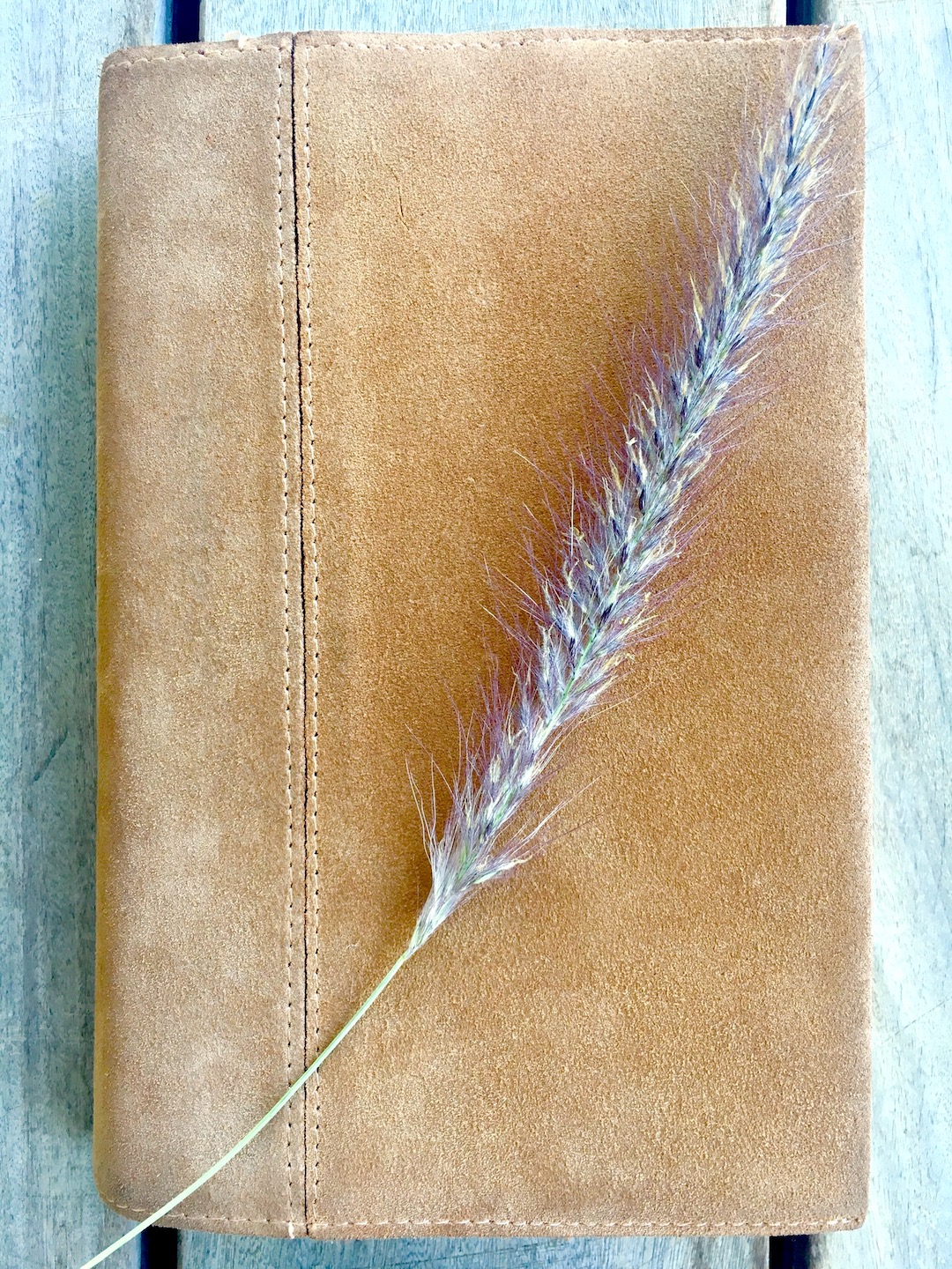 Strange books for strange times – Top 10 strangest books I’ve read ...