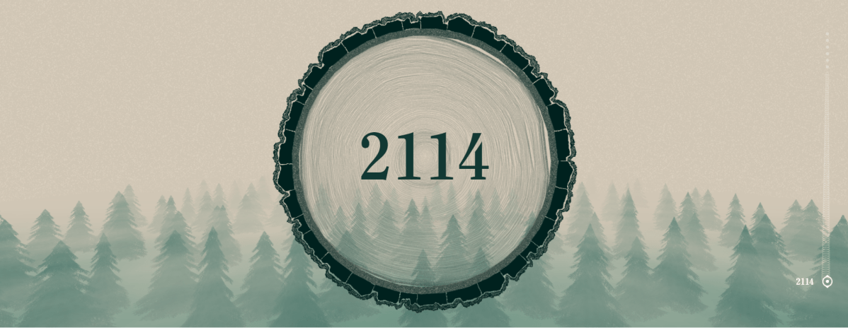 Let’s talk about the Future Library – Books written during a century ...