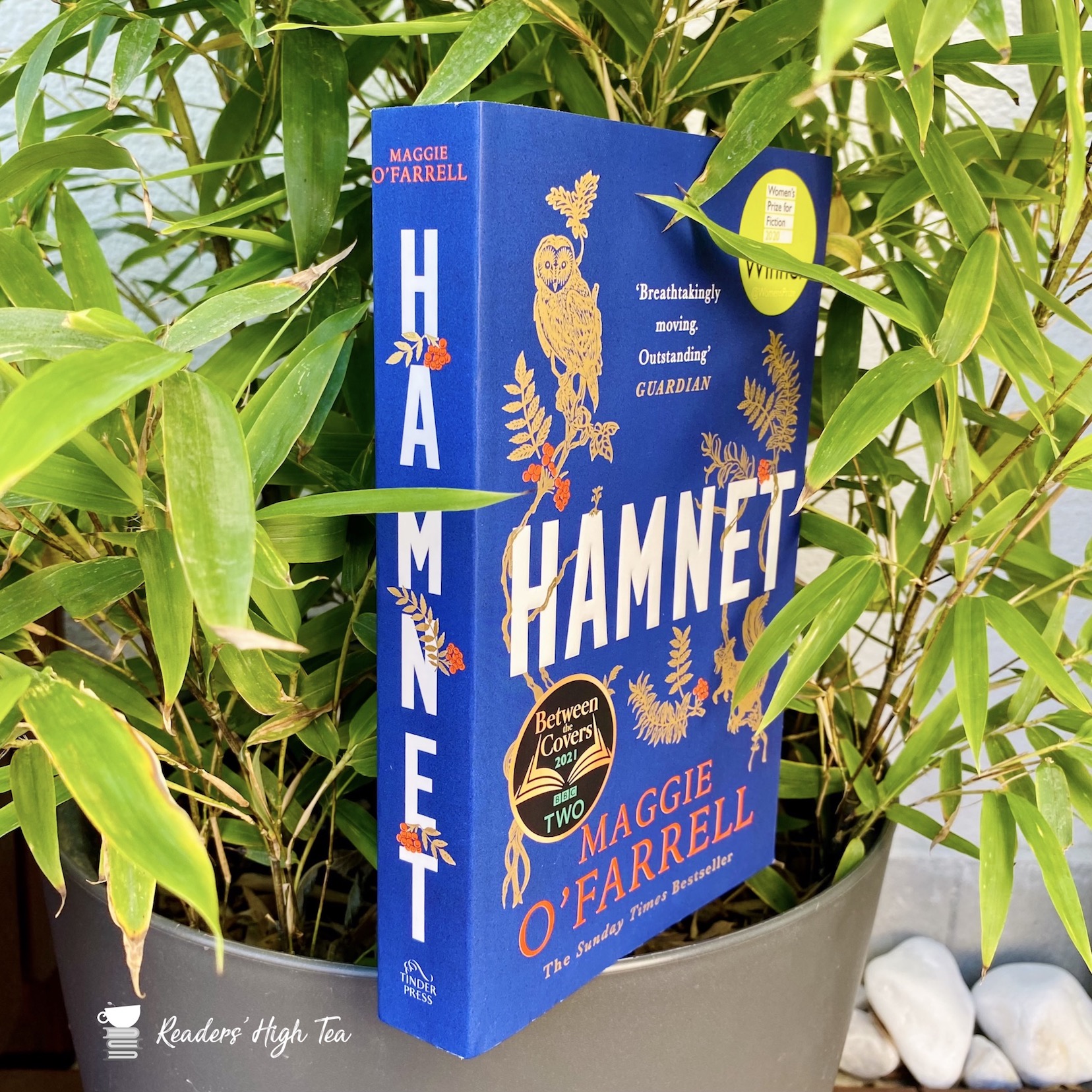Hamnet by Maggie O’Farrell (book review) – the overlooked family of the ...